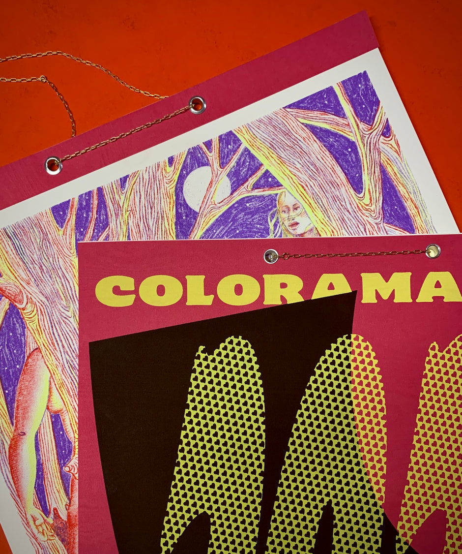Risograph printed Comics Artbooks Printed Matter by Colorama Berlin ...
